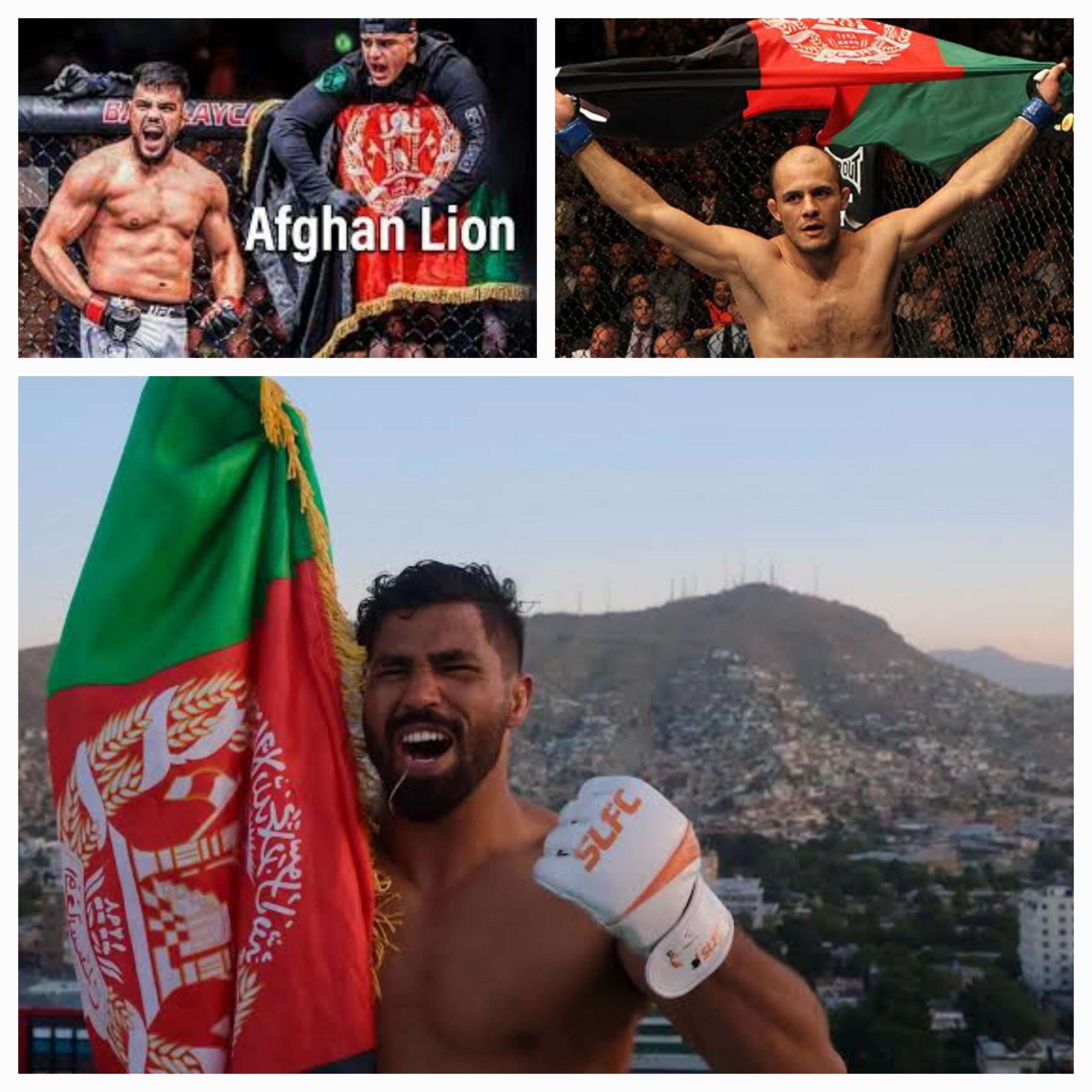 Taliban Afghanistan Larang MMA